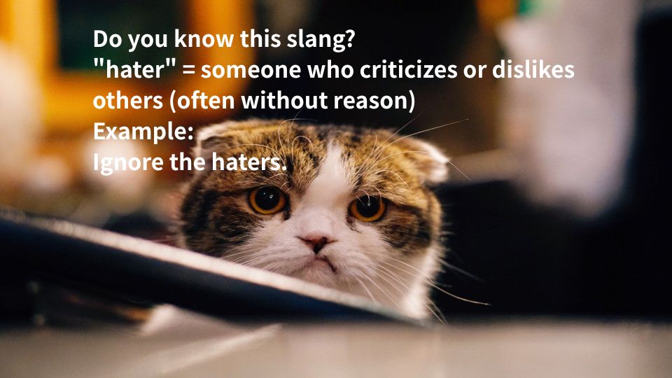 haterの意味は？ネイティブが使う英語表現を解説 | 英語イディオムブログ