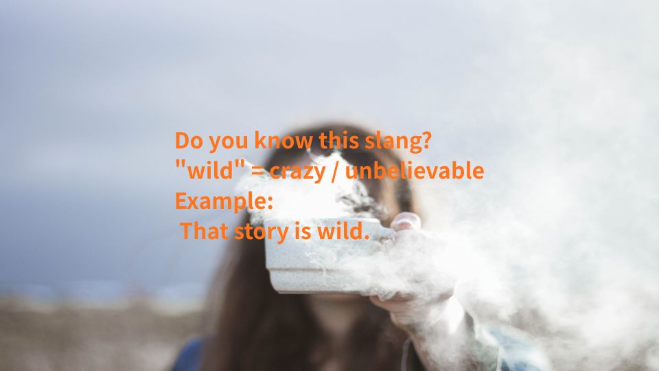 wildとはどういう意味？英語フレーズをわかりやすく解説 - 英語イディオムブログ
