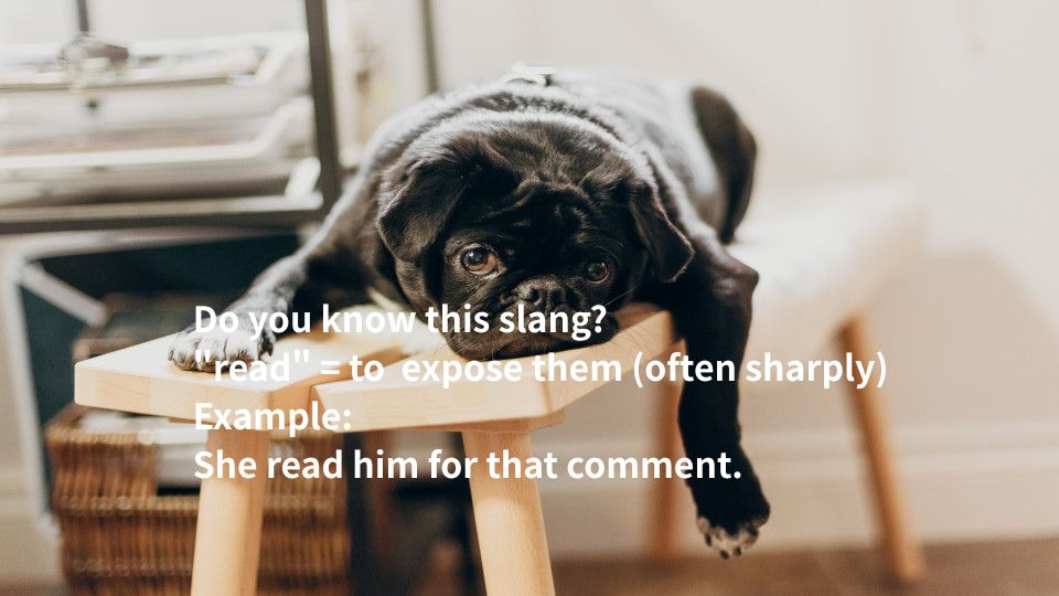 read の意味は？ネイティブ英語の使い方と例文 - 英語イディオムブログ